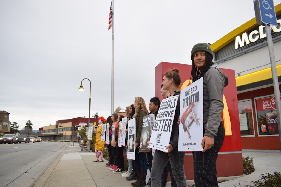 Tastykake HQ Protest | Philadelphia, PA · The Humane League