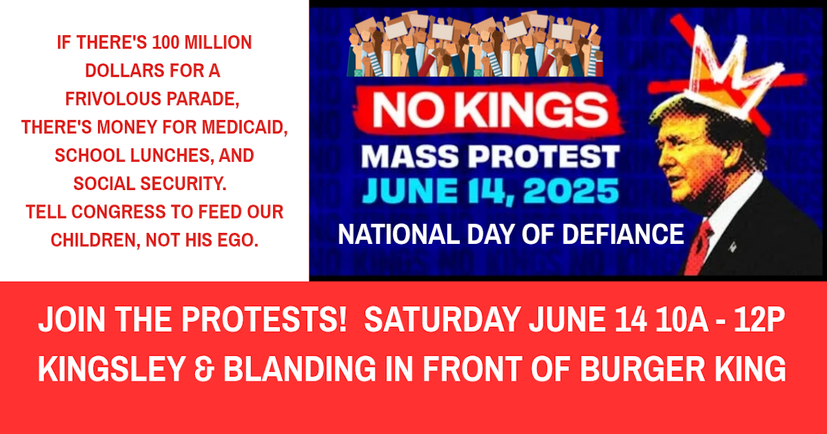 NO KINGS MASS PROTEST · Clay County DEC