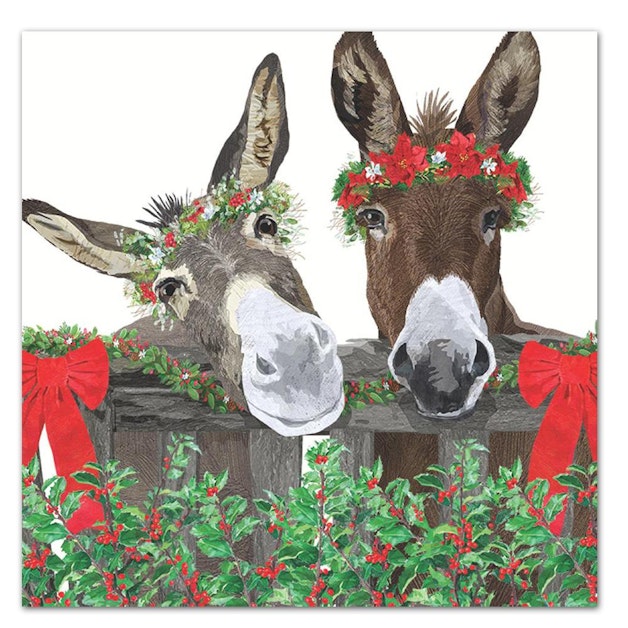 York Democratic Holiday Party · PA Democratic Party