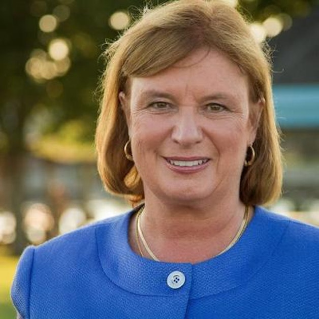 Carol Shea Porter to Speak at Tri-Town Democrats' February 5 Meeting ...