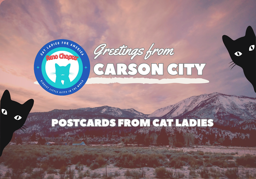 Write postcards to Congress, Voters with Carson's Cat Ladies · Mobilize