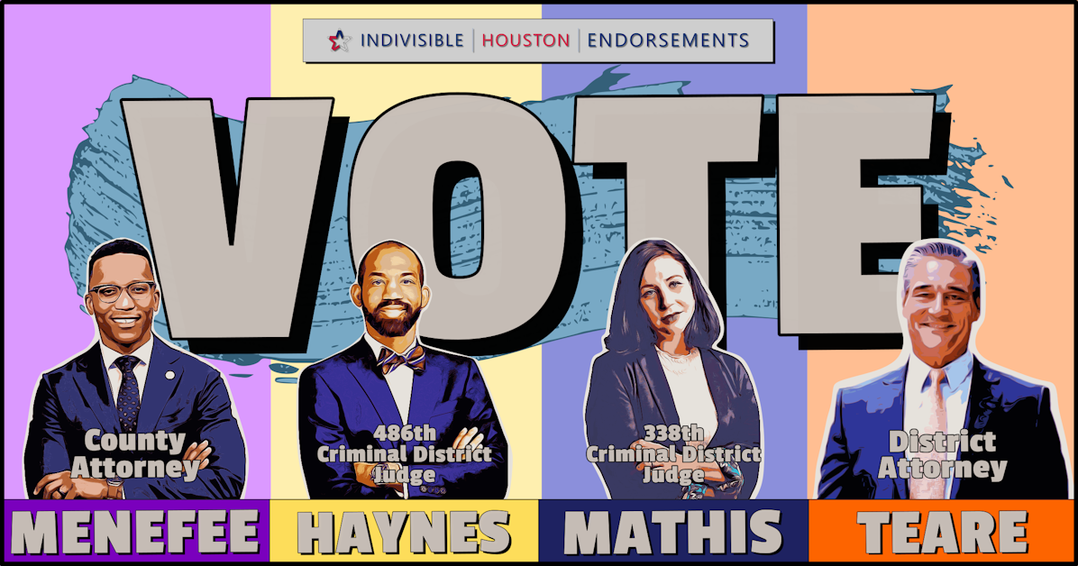 Vote Tripling at the Polls with Indivisible Houston · Mobilize