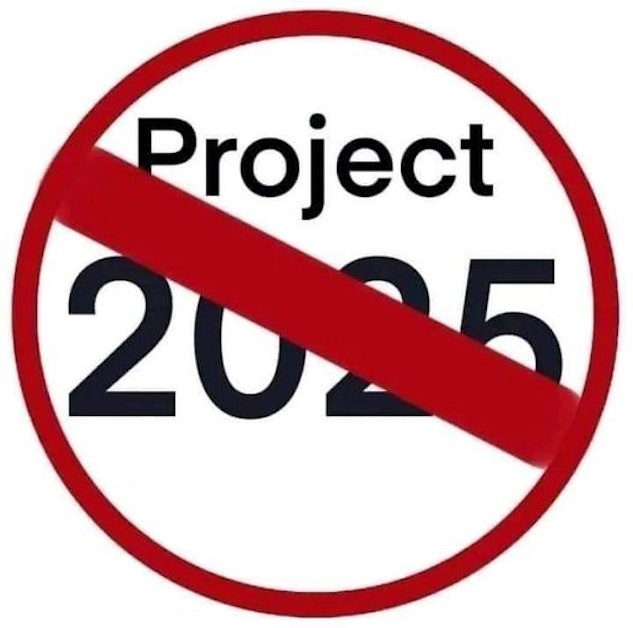 Freedom Fridays: Project 2025 - Now our Living Nightmare · Indivisible