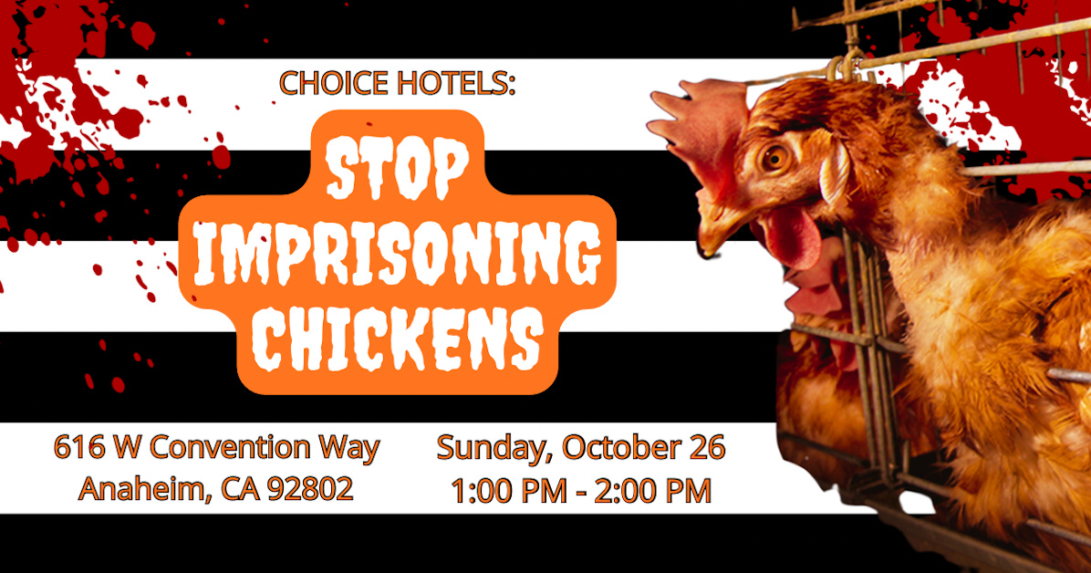 🪧Protest in Anaheim CA | Demand Choice Hotels End Cages!! · The Humane ...