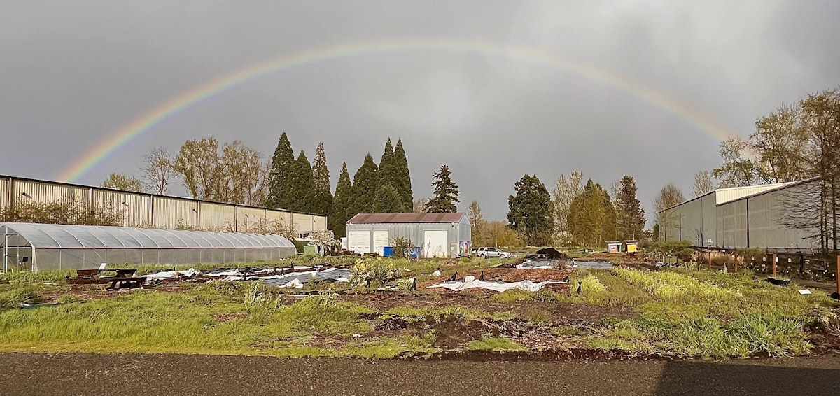 Unity Farm Summer Work Party · Oregon Food Bank