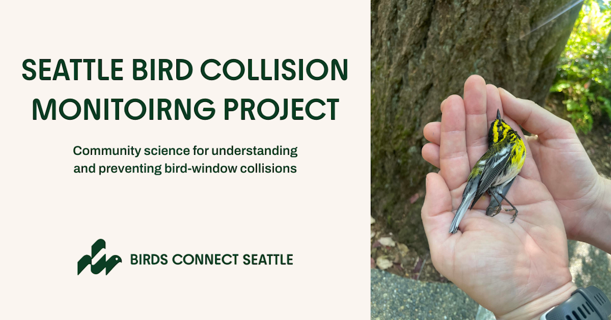 AT HOME - Seattle Bird Collision Monitoring Project · Birds Connect Seattle