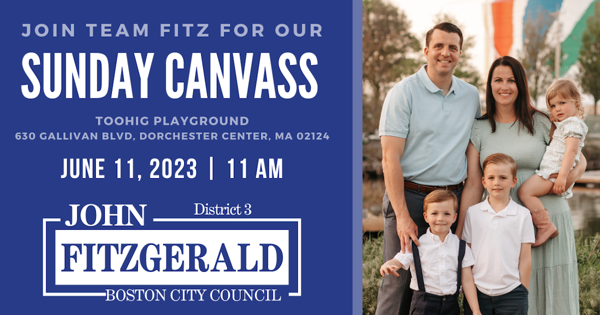 Team Fitz Sunday Canvass · Mobilize