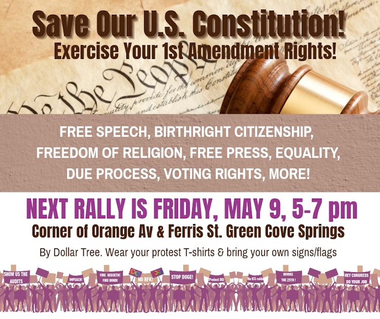 SAVE OUR CONSTITUTION · Democratic Public Education Caucus of Florida