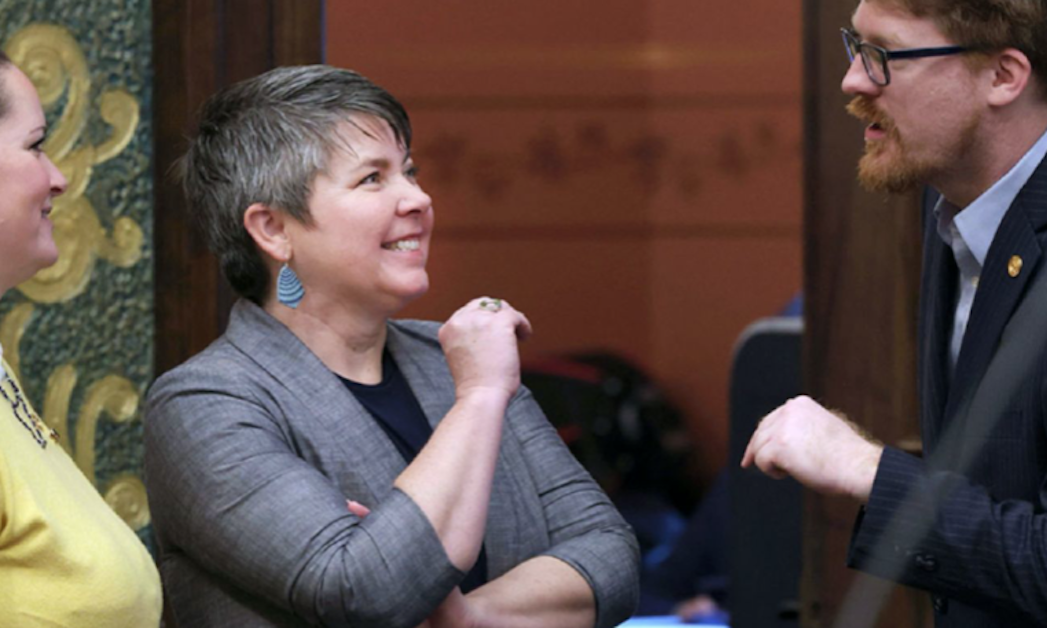 Lame Duck Session Priorities with Rep Betsy Coffia · Traverse Indivisible