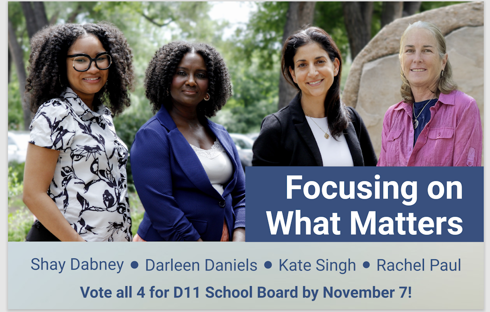 Common Sense for D11 Canvass · Mobilize