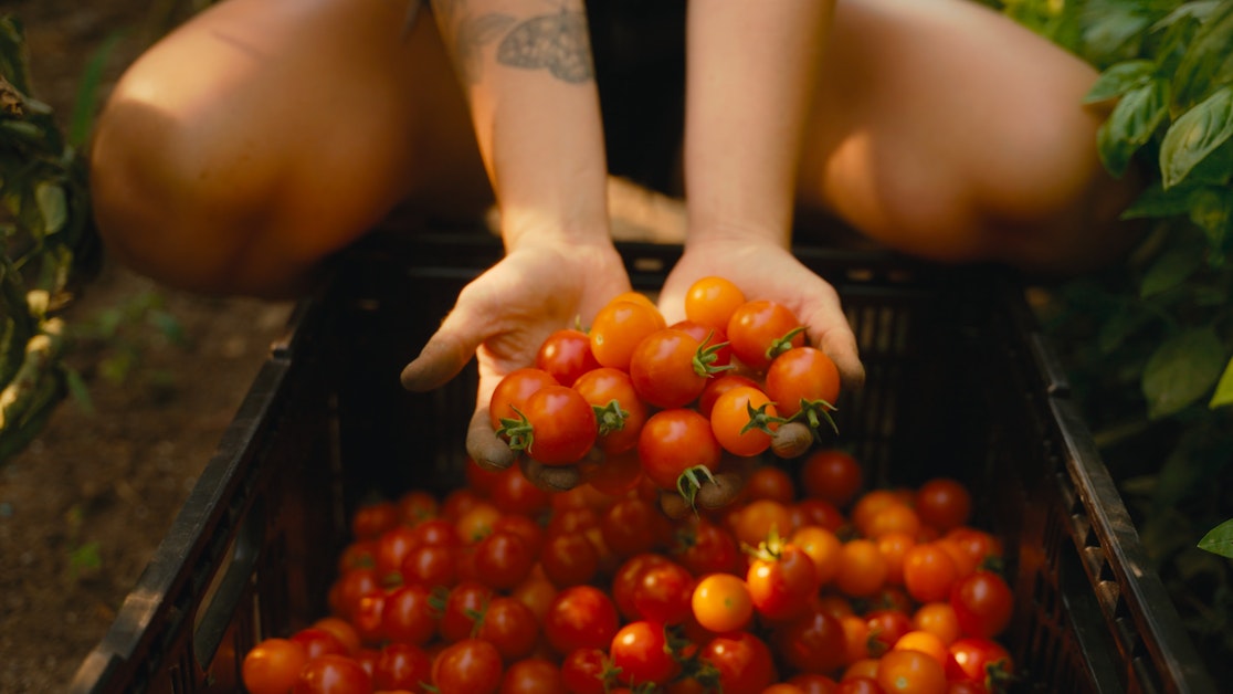 Farm Rapid Response · The Yes She Can campaign