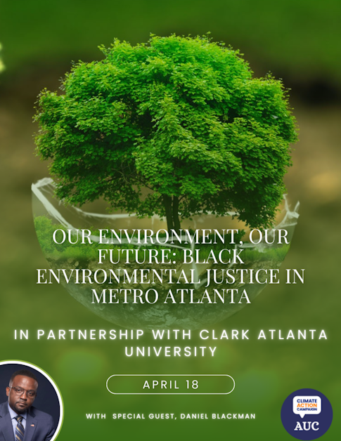 Our Environment, Our Future: Black Environmental Justice in Metro ...