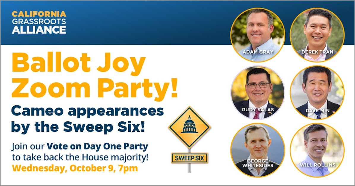 BALLOT JOY: Alliance Vote on Day One Party · Indivisible