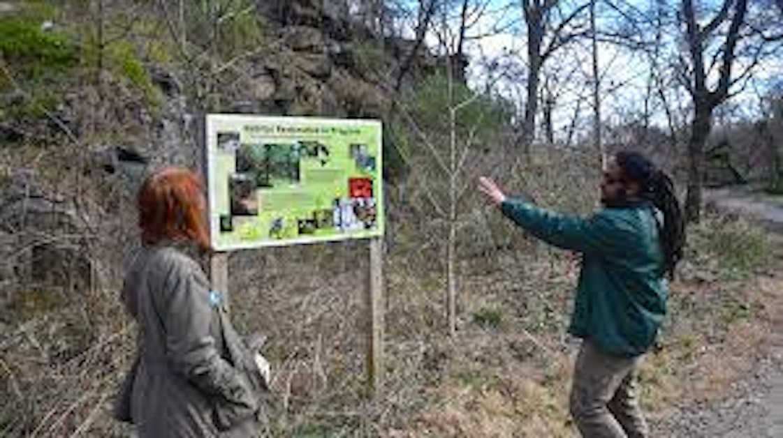 Belle Isle Invasive Species Removal and Planting · Mobilize Communities Now