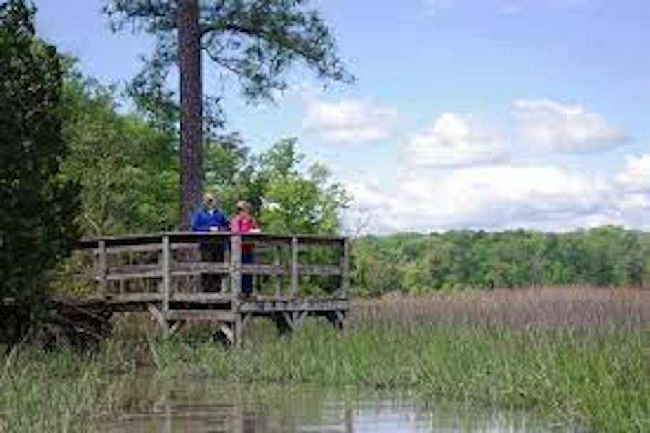 No Rezoning: Keep our Wetlands Wild · Mobilize Communities Now