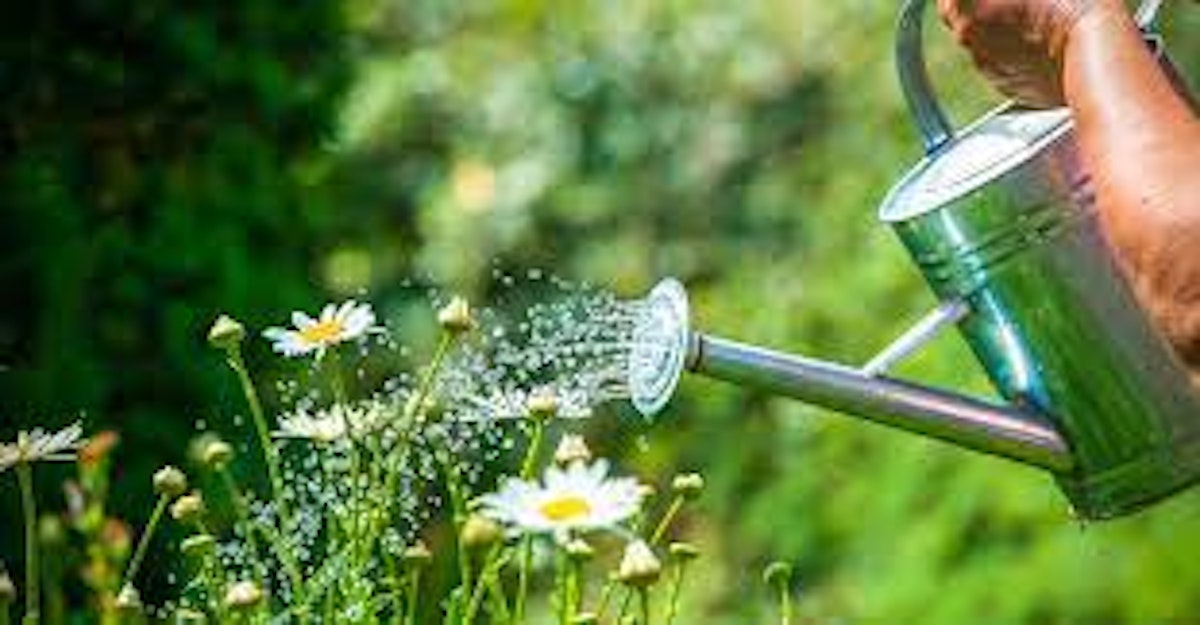 Flower Watering at Mutual Ground · Mobilize
