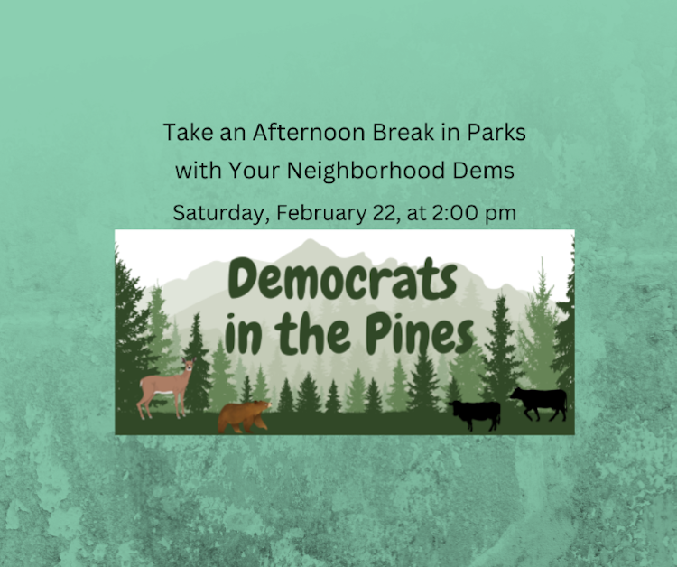 Democrats in the Pines · Mobilize