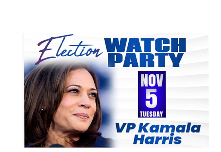 VP Harris Presidential Watch Party · Mobilize