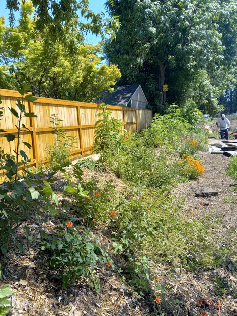 Native Plant Walk at GrassRoots Garden · Food for Lane County