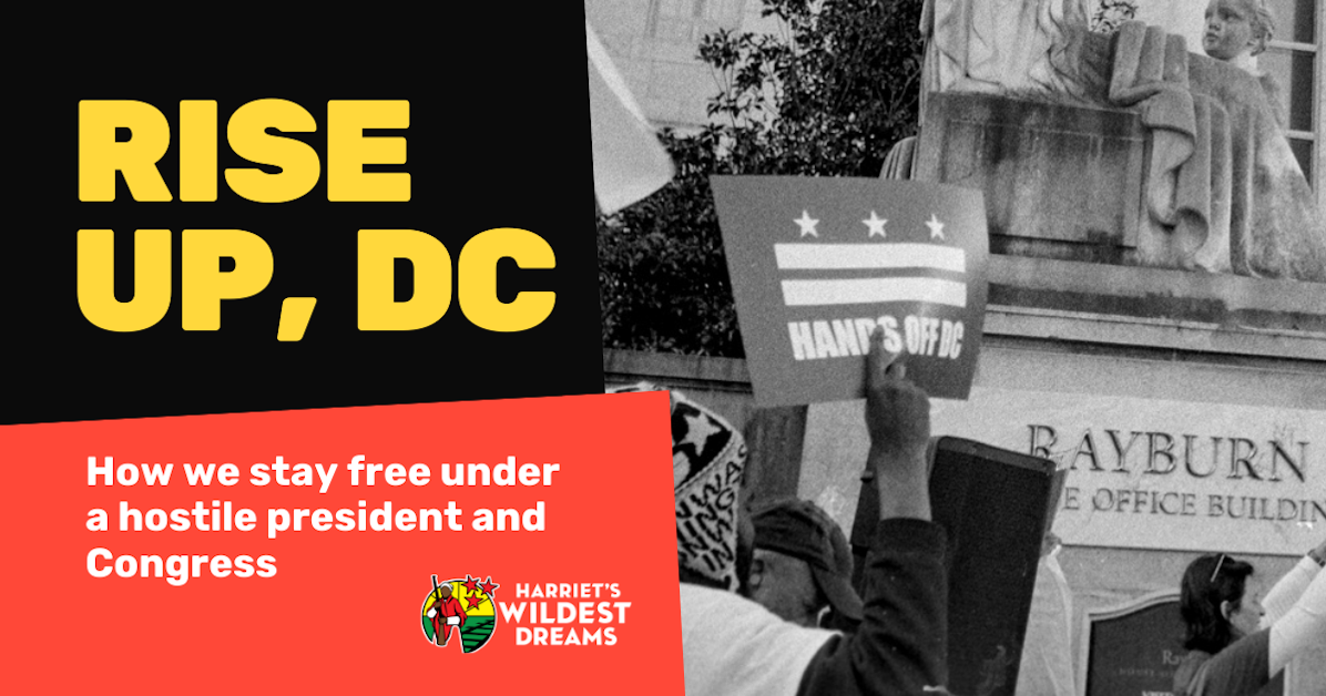 Rise Up DC: How we stay free under a hostile president and Congress ...