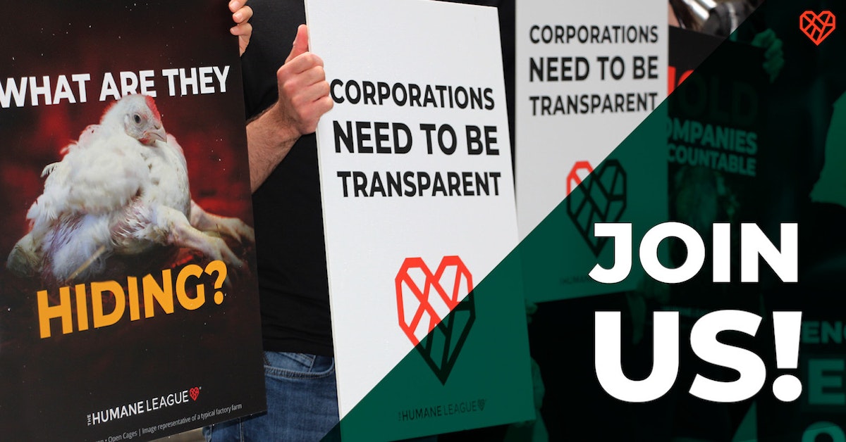 Chicago, IL: P.F. Chang's and Chipotle Protest · The Humane League