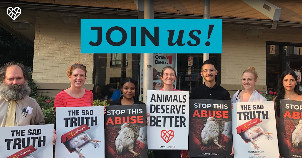 Protest at Stop & Shop Corporate! · The Humane League