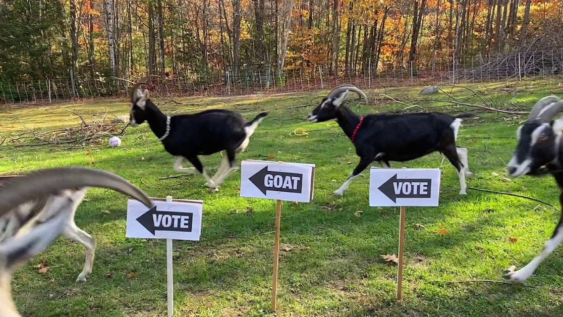 Vote With Goats · NextGen Pennsylvania