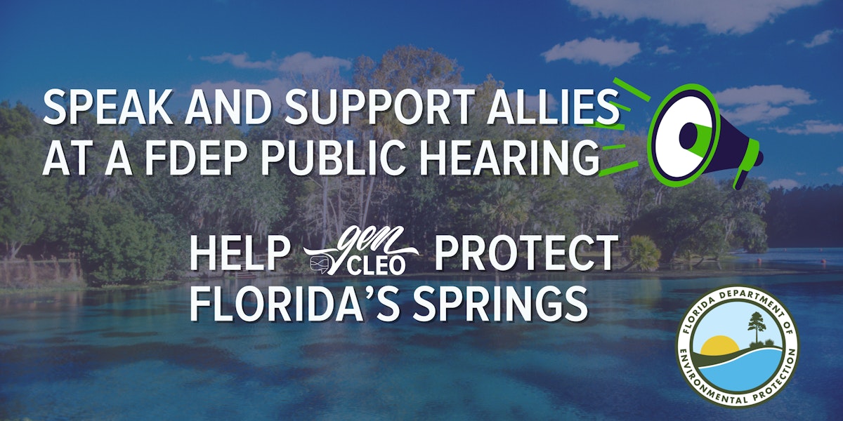 Speak to FDEP About the Harming Springs Rule · The CLEO Institute