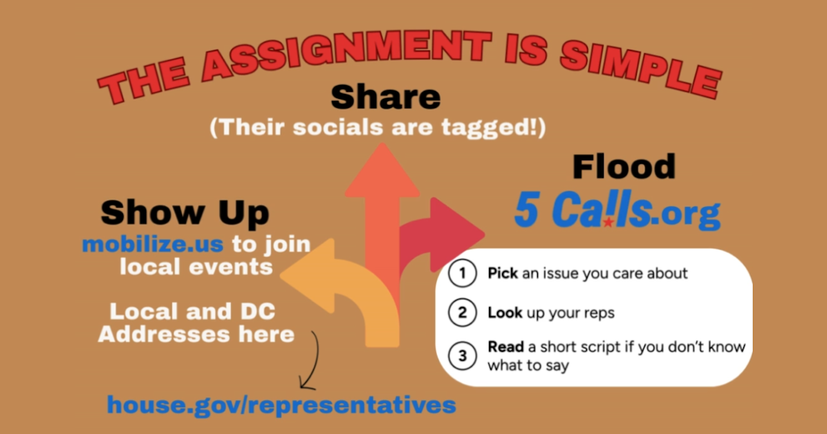 50 Days of Shame Campaign Coordination / Strategy · Indivisible St ...