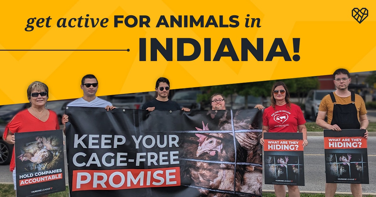 Indianapolis, IN: Duped by Dunkin | End Cruel Cages Protest · The ...