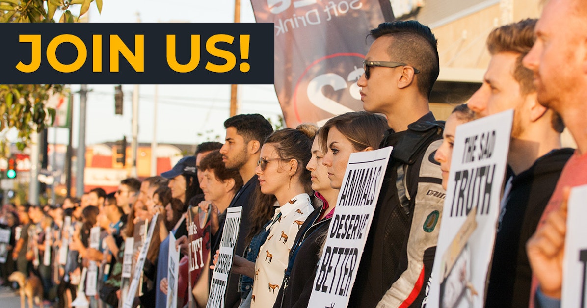 🐔 Portland, OR: Flyering & Protest To End Cages At Subway · The Humane ...