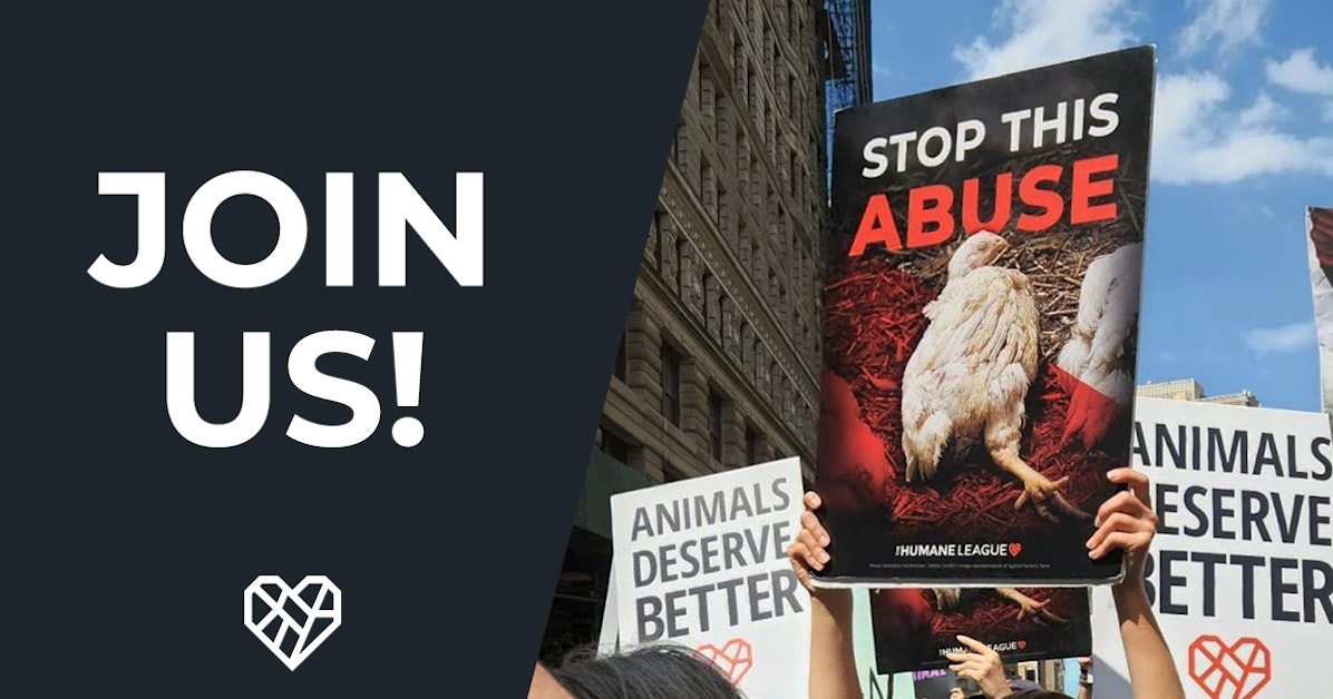 Portland, OR: Protest To End Cages At Crumbl! · The Humane League