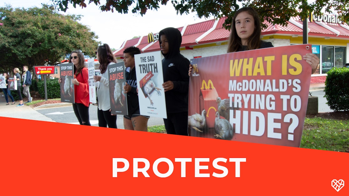 Seattle, WA - Protest the InterContinental Hotel Group · The Humane League