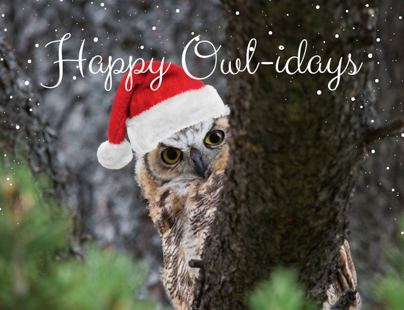 LD17 Holiday Party · Mobilize