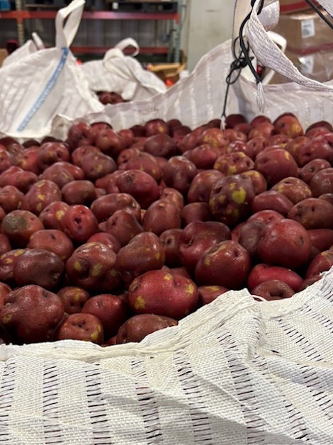 Red potato pick-up! Lillington NC, this Friday 8/8/2025, come and get ...