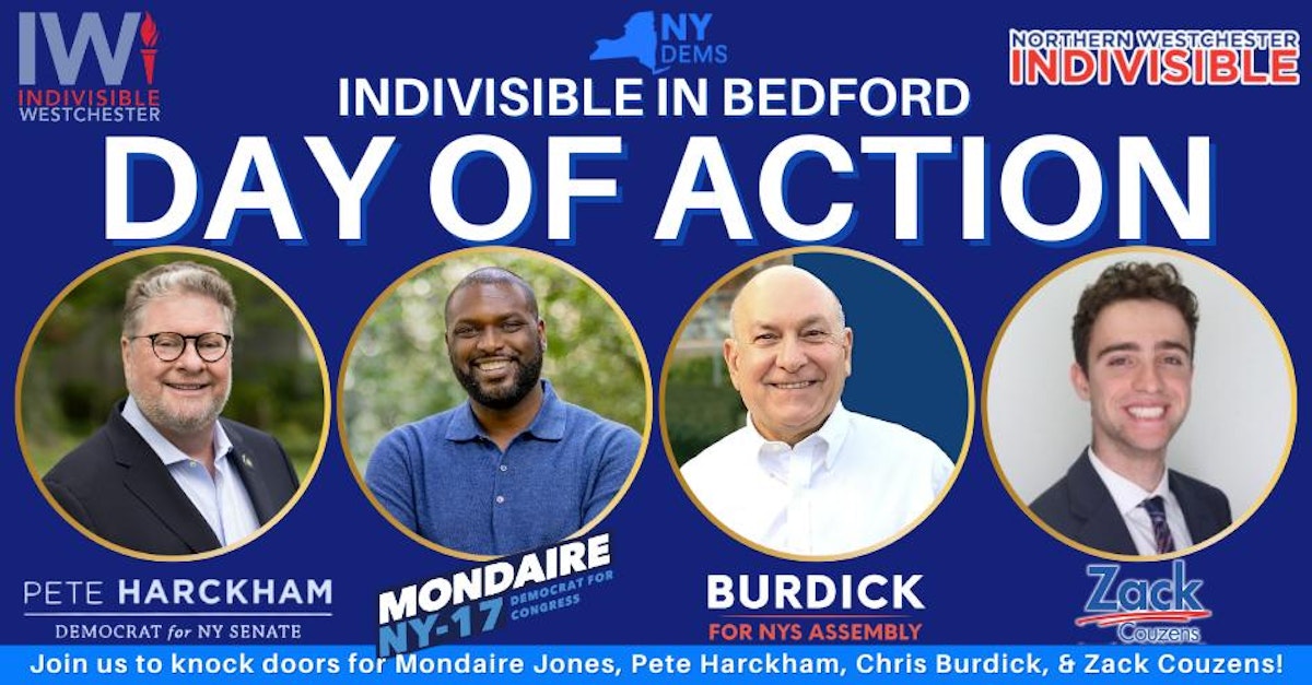 INDIVISIBLE DOA: Canvassing for Mondaire Jones, Pete Harckham, Zack ...
