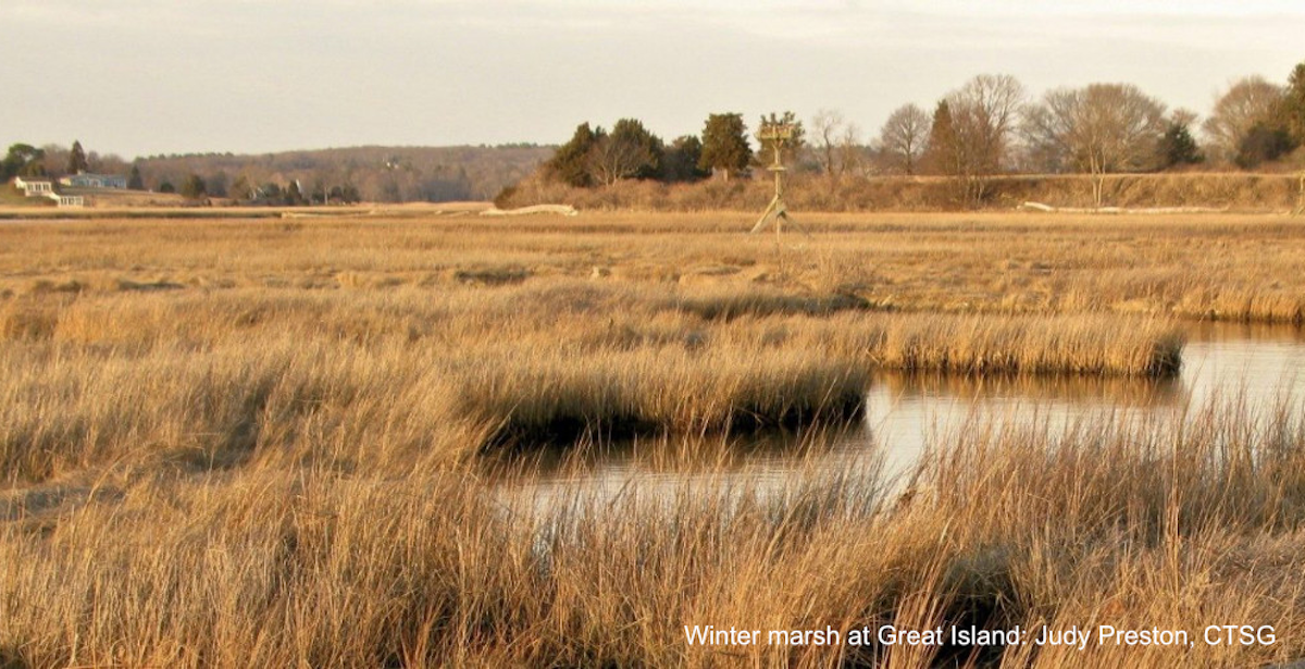 Menunkatuck Audubon Society: Connecticut National Estuarine Research ...