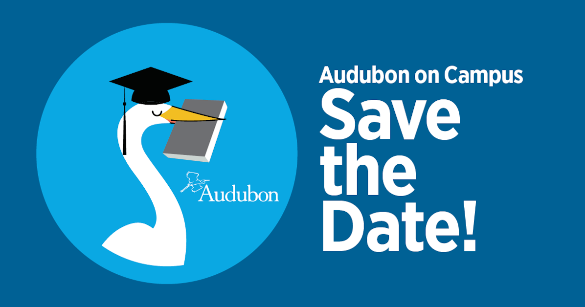 University of Maryland, College Park: The Great Backyard Bird Count ...