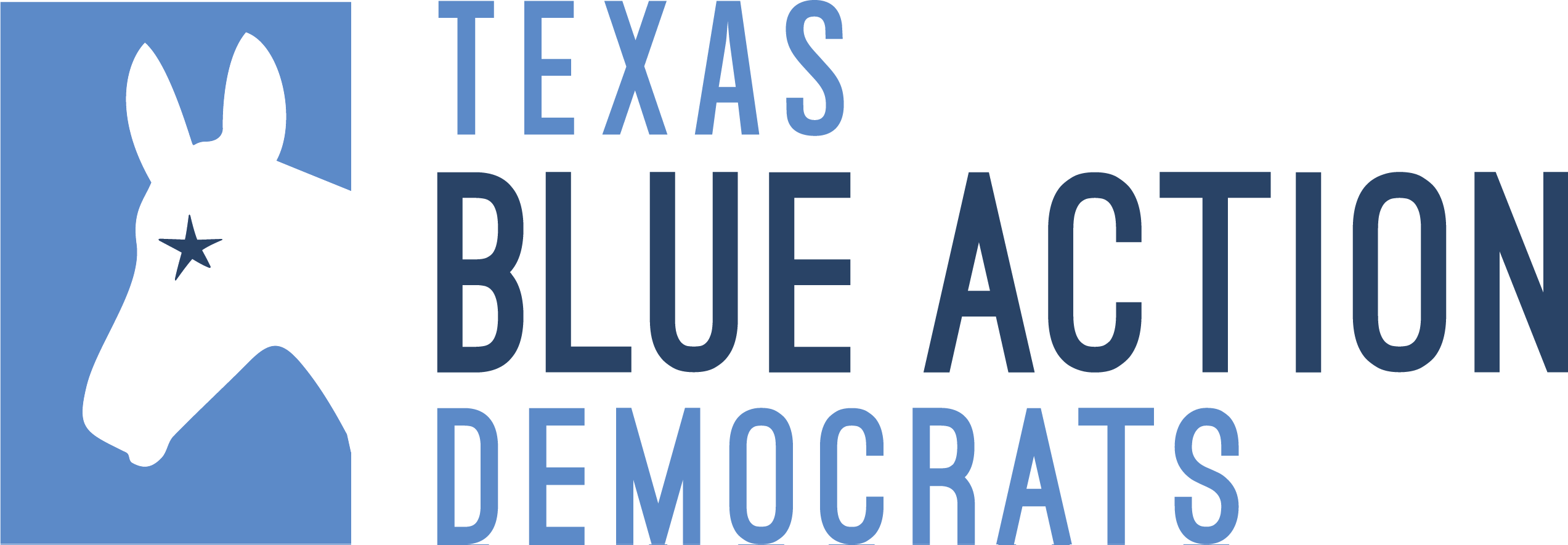SW Austin Blue Action Dems - November Election Blockwalk · Texas Blue ...