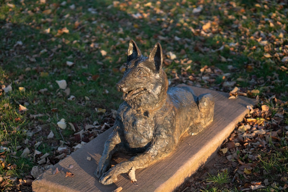 Volunteer Opportunities, Events, and Petitions Near Me · Pal's Park ...